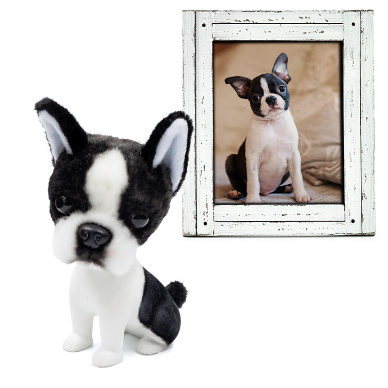 Pet Clones - Cuddle Clones