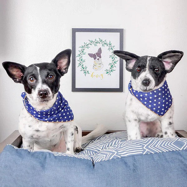 Custom Stuffed Animals | Buy Customized Animals & Custom Plushies