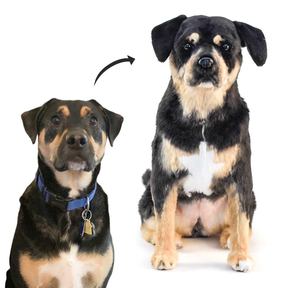 Pet Clones - Cuddle Clones