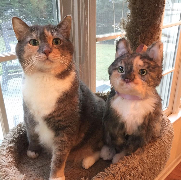 Product Customizer - Cuddle Clones