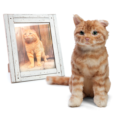 Product Customizer - Cuddle Clones