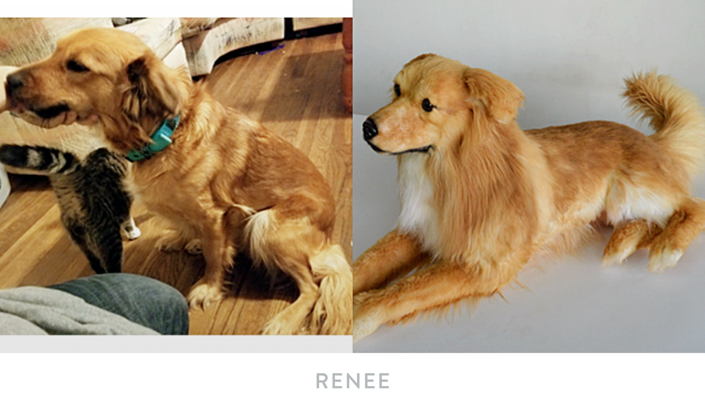 Product Gallery - Custom Pet Products | Cuddle Clones