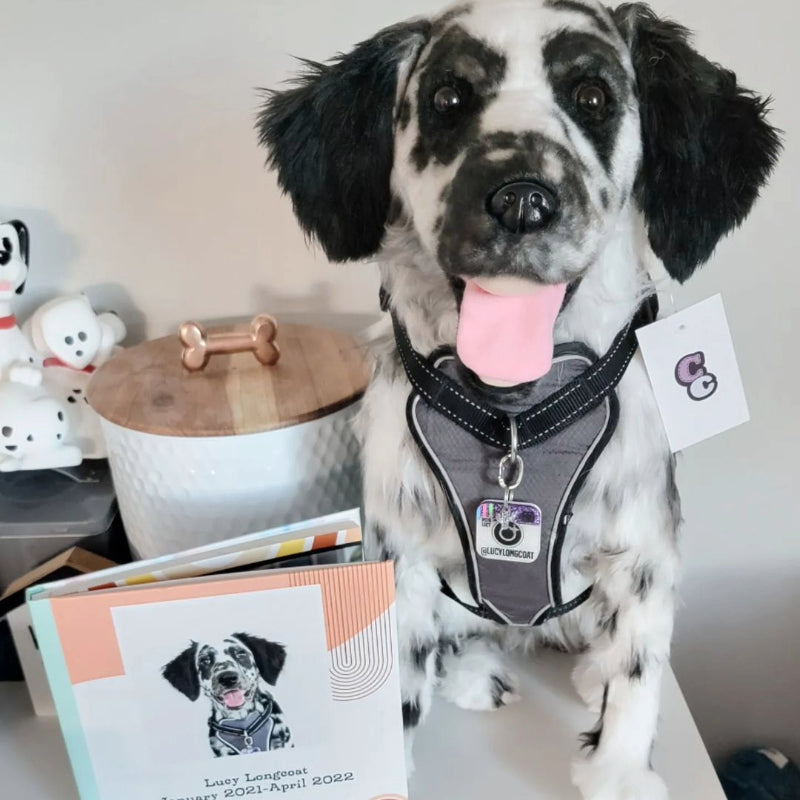 Product Customizer - Cuddle Clones