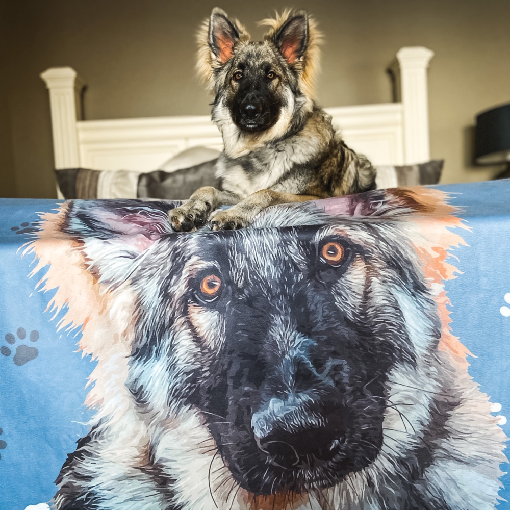 Custom Pet Blanket | Create a Unique Personalized Pet Blanket of Your ...