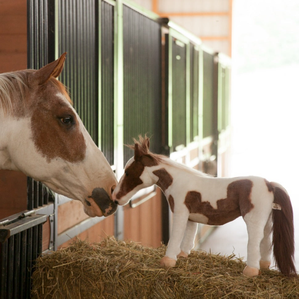 Custom Horse Plush | Capture Your Horse's Personality in a Custom Horse ...