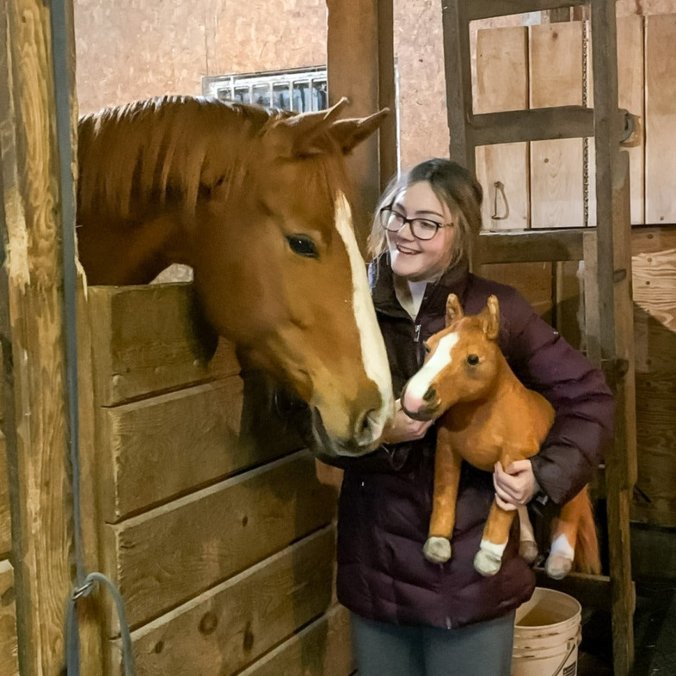 Custom Horse Plush | Capture Your Horse's Personality in a Custom Horse ...