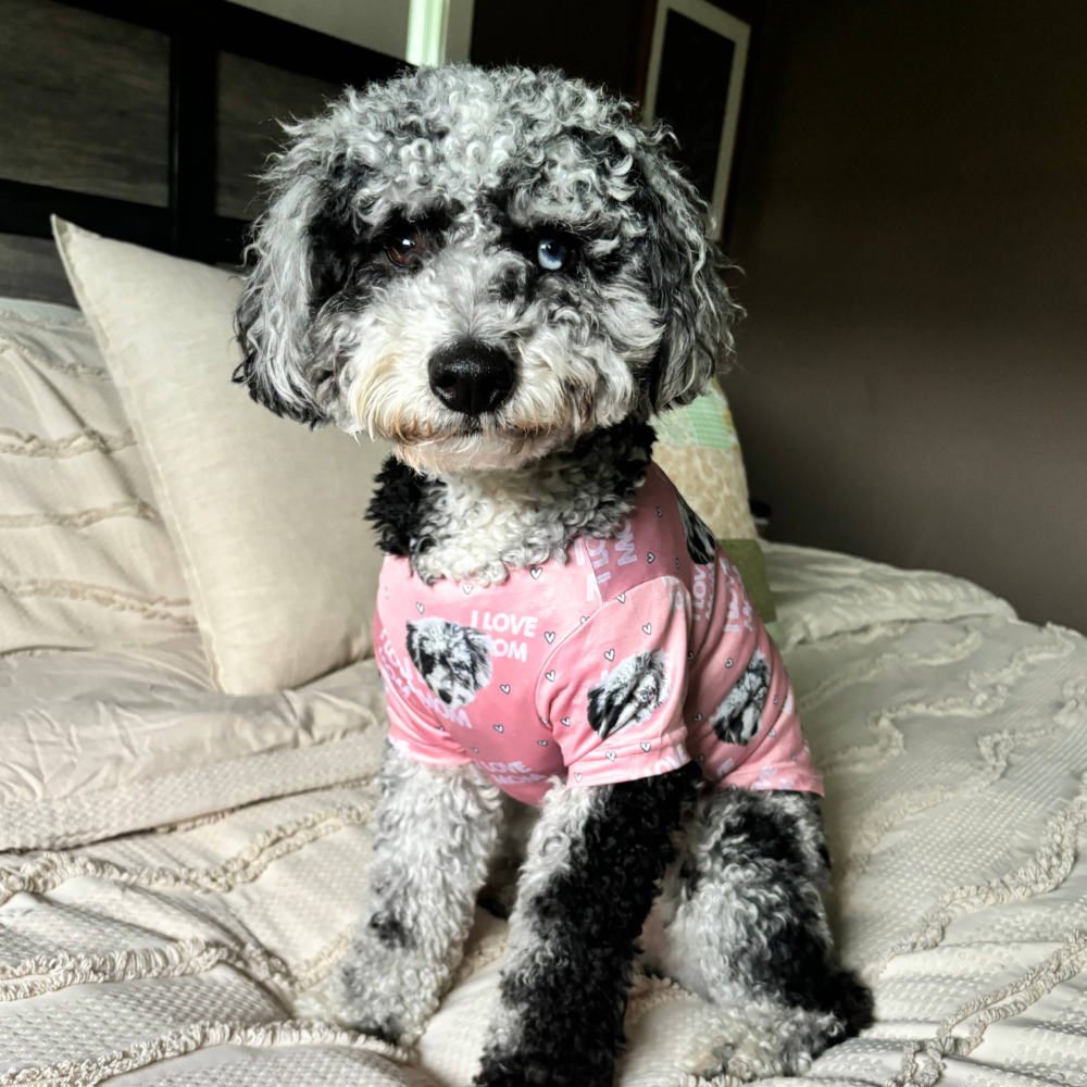 Pet Clones - Cuddle Clones