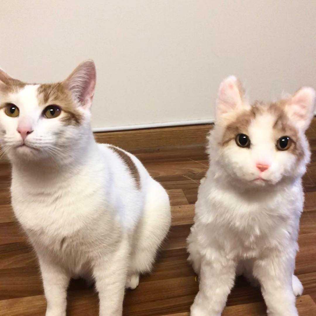 Product Customizer - Cuddle Clones